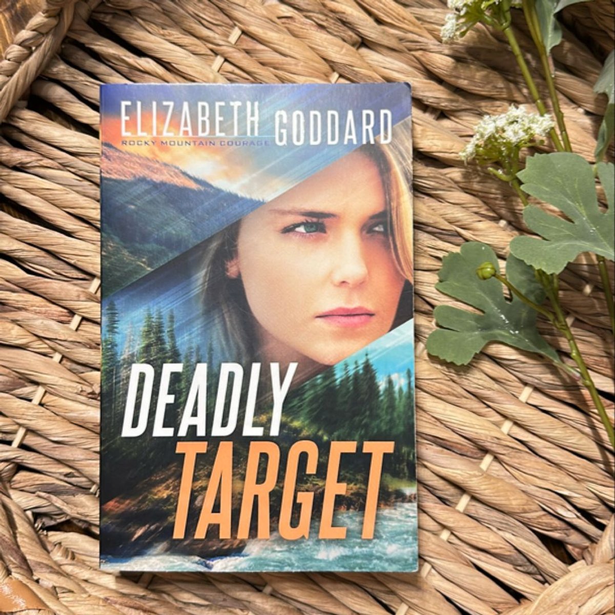 Deadly Target by Elizabeth Goddard