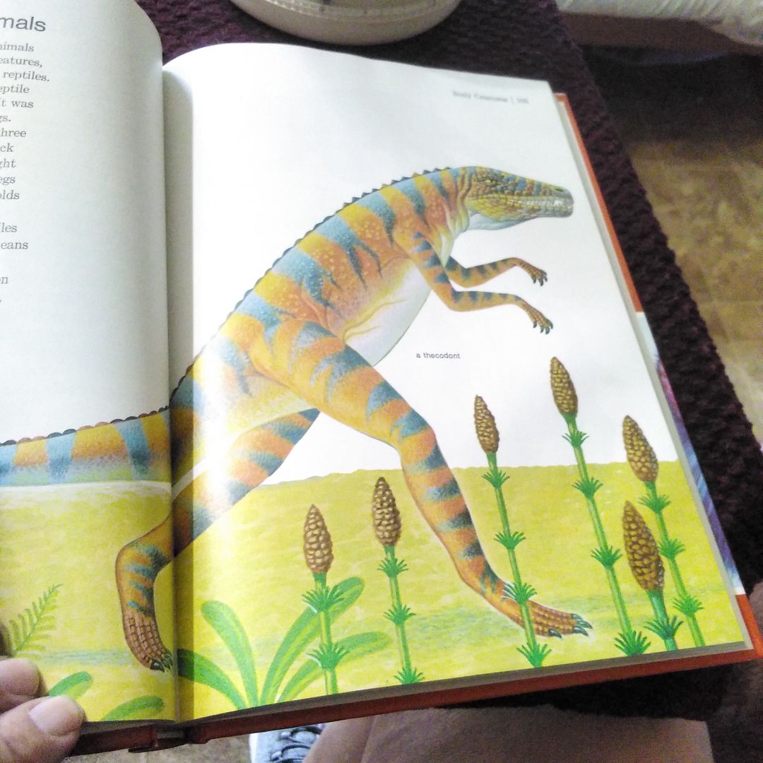 Prehistoric Animals by World Book- Childcraft International, Hardcover ...