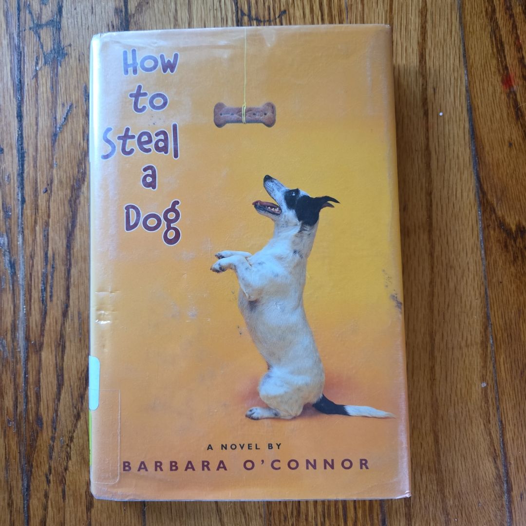 How to Steal a Dog by Barbara O'Connor