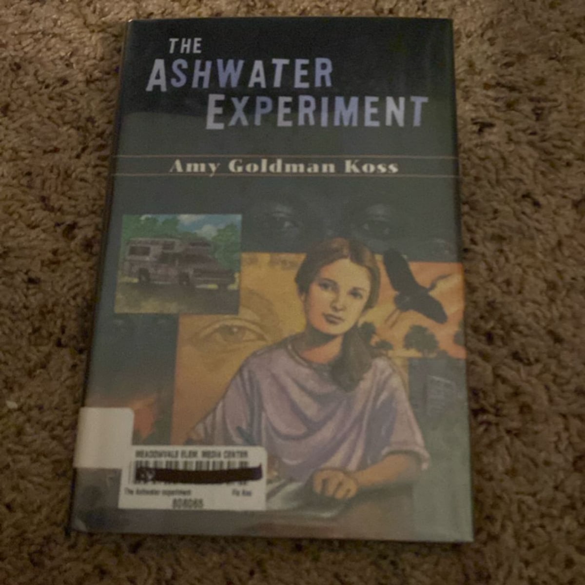 The Ashwater Experiment by Amy Goldman Koss