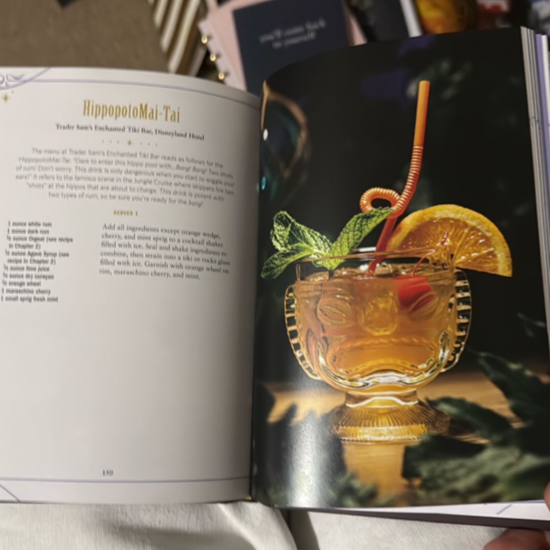 The Unofficial Disney Parks Drink Recipe Book by Ashley Craft