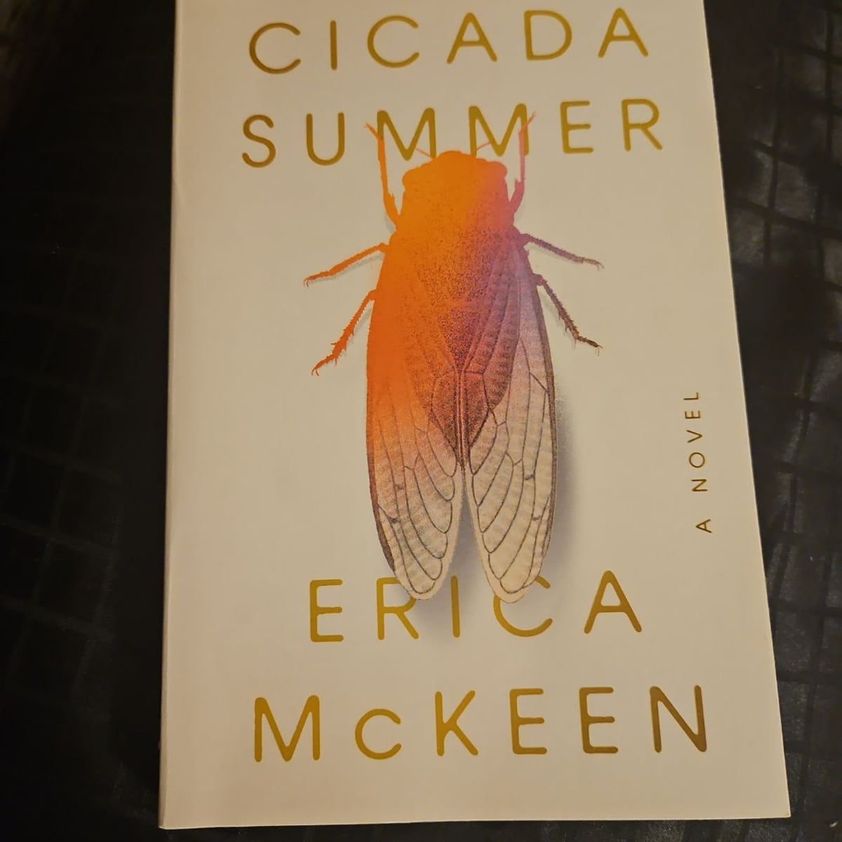 Cicada Summer by Erica McKeen