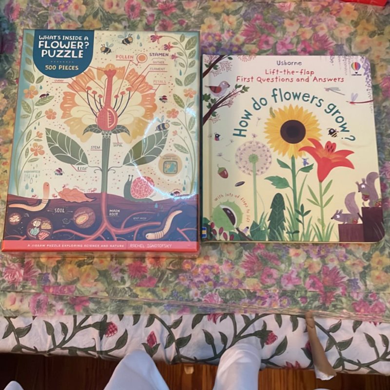 First Questions and Answers: How Do Flowers Grow? by Katie Daynes