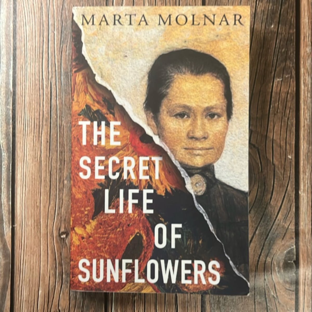 The Secret Life of Sunflowers by Marta Molnar
