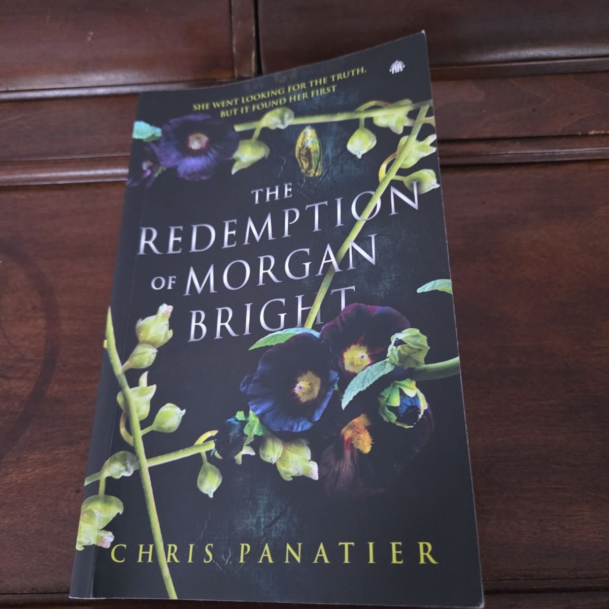 The Redemption of Morgan Bright by Chris Panatier
