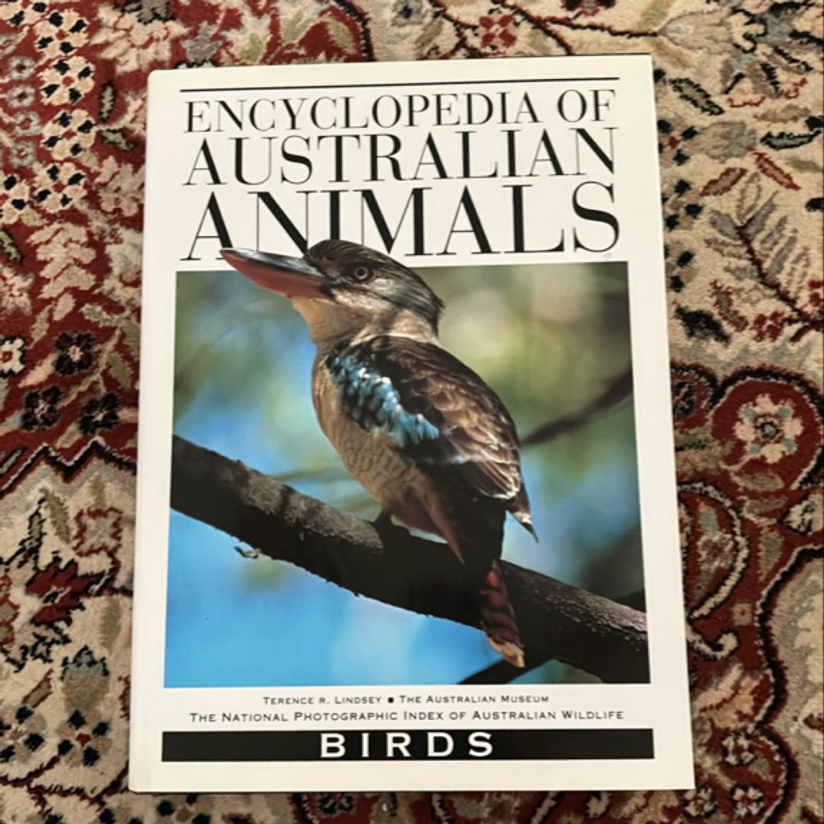 Encyclopedia Australian Animals by Australian Museum Staff