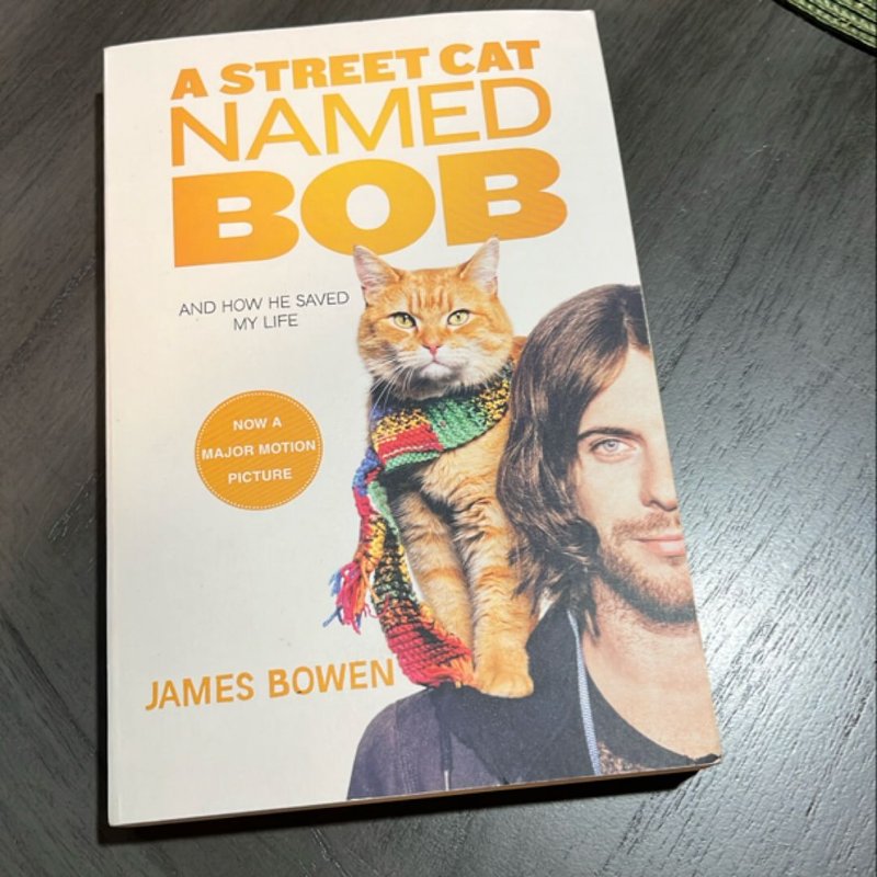 A Street Cat Named Bob by James Bowen, Paperback | Pangobooks