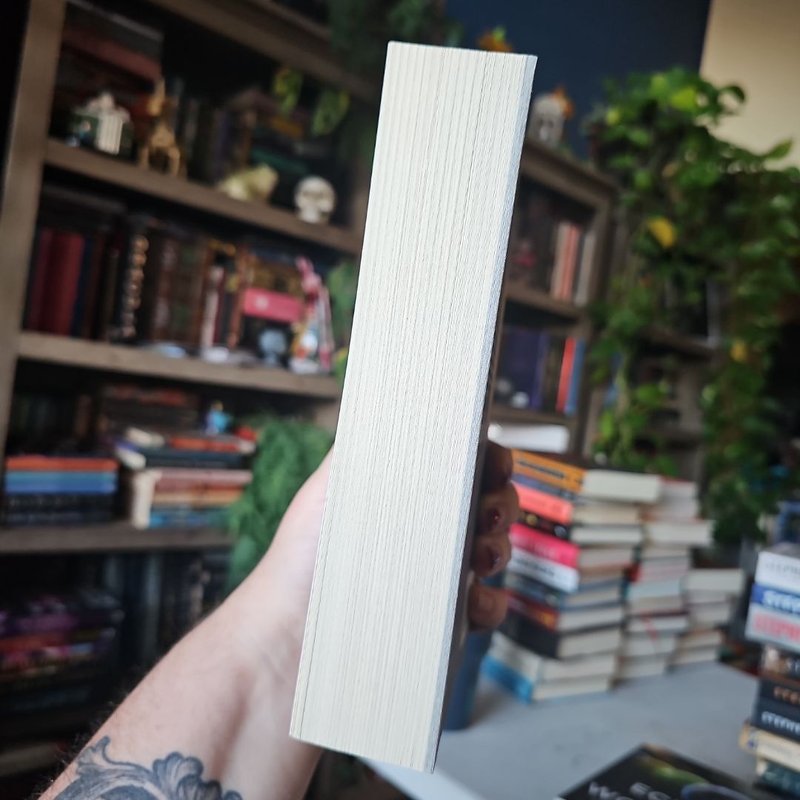 Infinity Gate by M. r. Carey, Paperback | Pangobooks