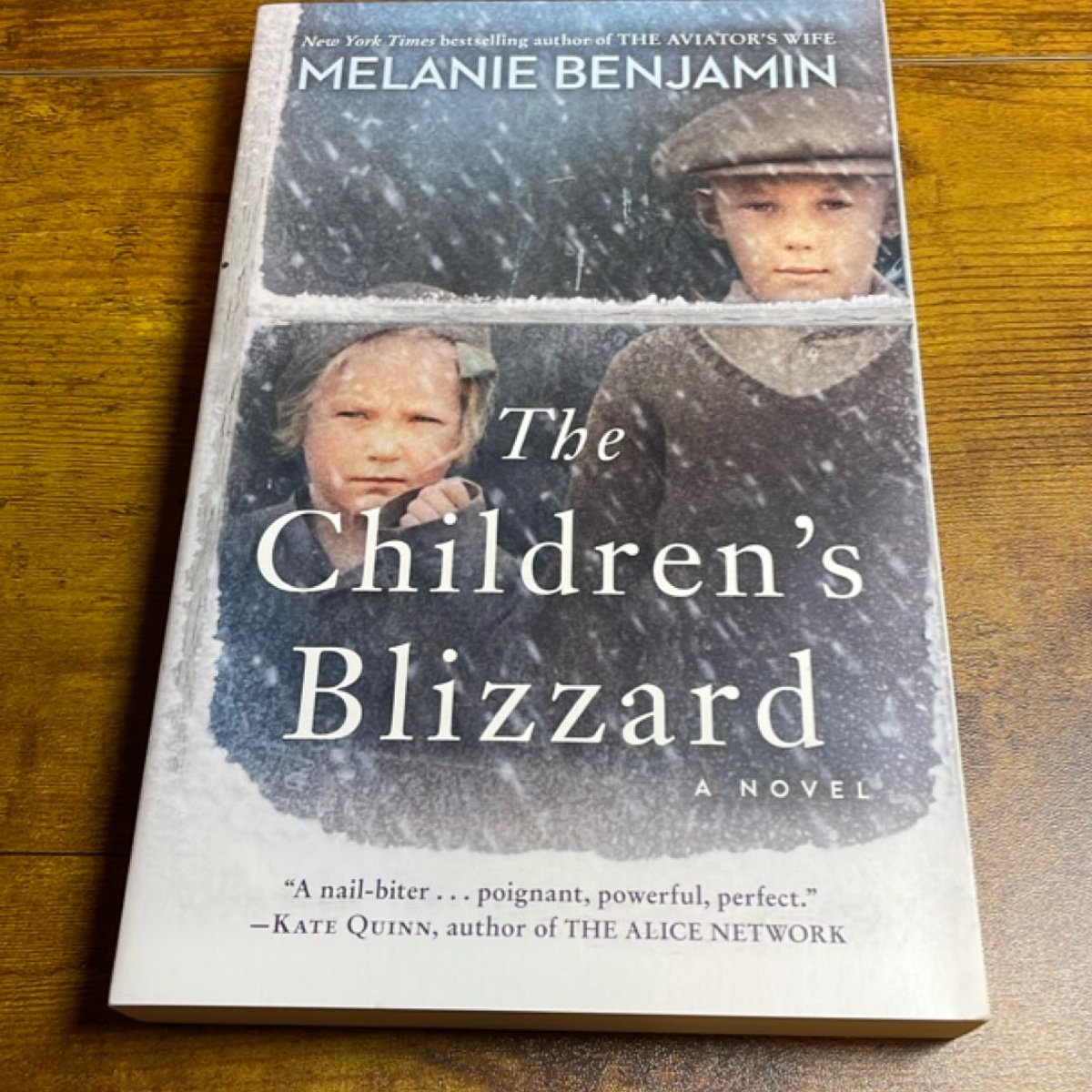 The Children's Blizzard by Melanie Benjamin