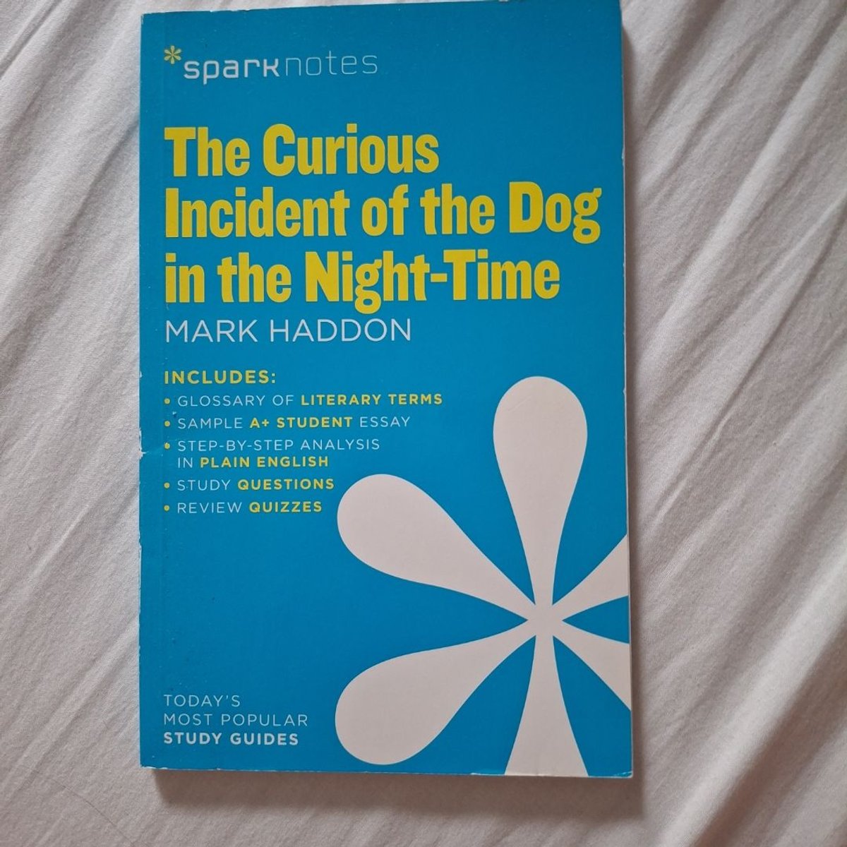 The Curious Incident of the Dog in the Night-Time (SparkNotes ...