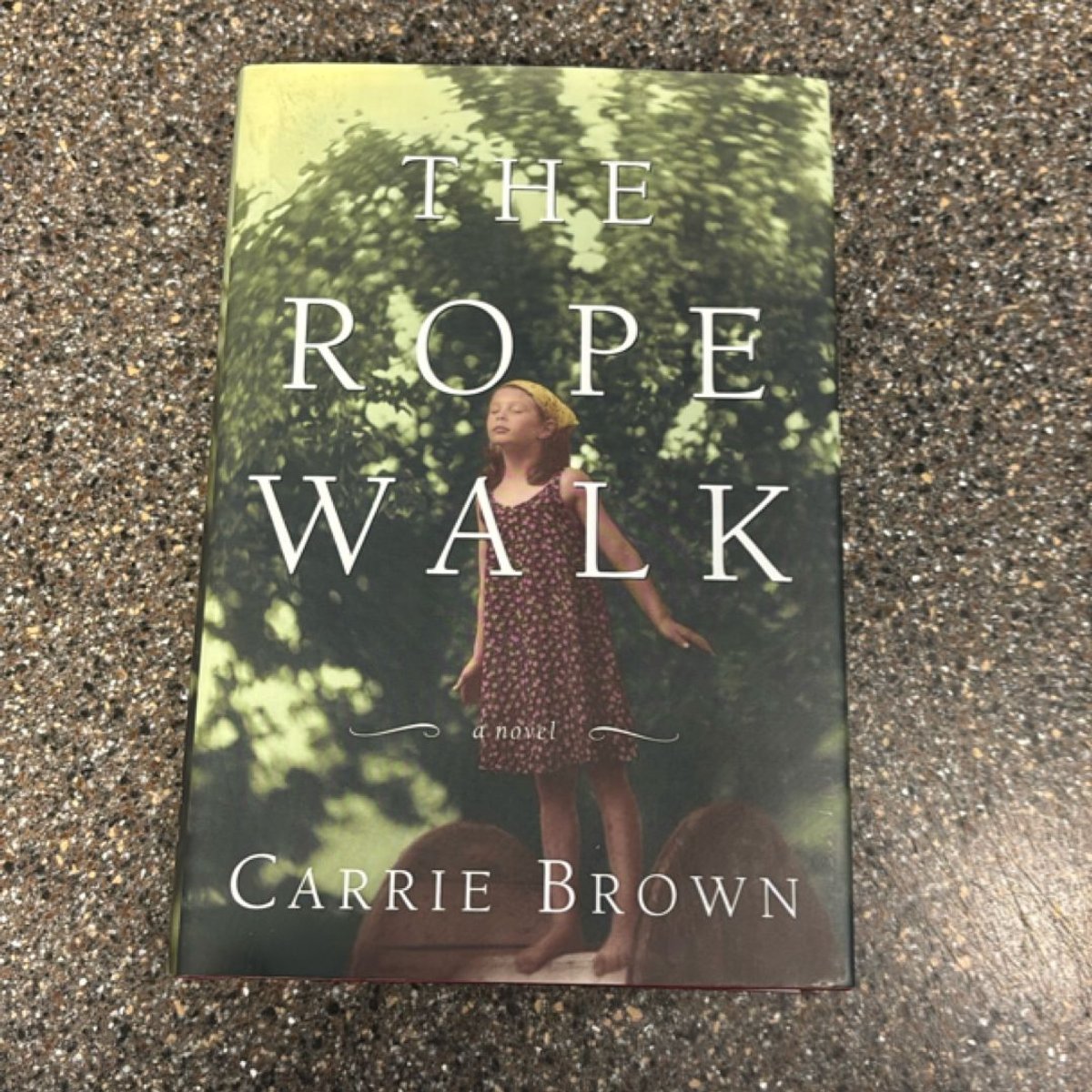The Rope Walk by Carrie Brown