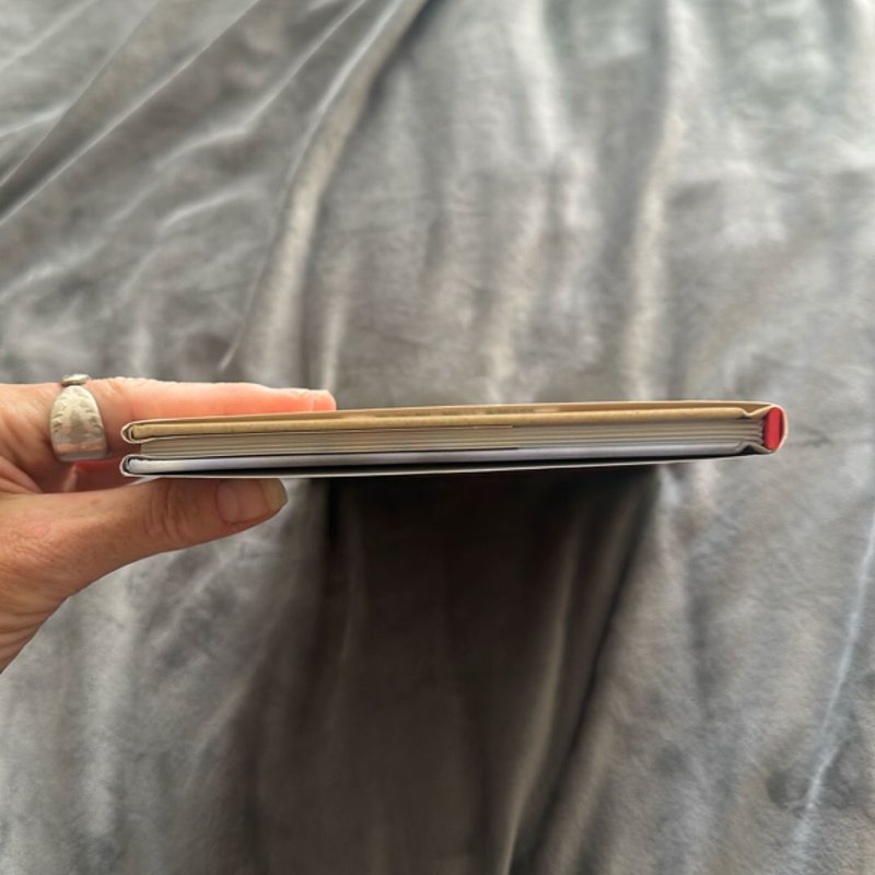 Judy Moody and Friends: Stink Moody in Master of Disaster by Megan McDonald