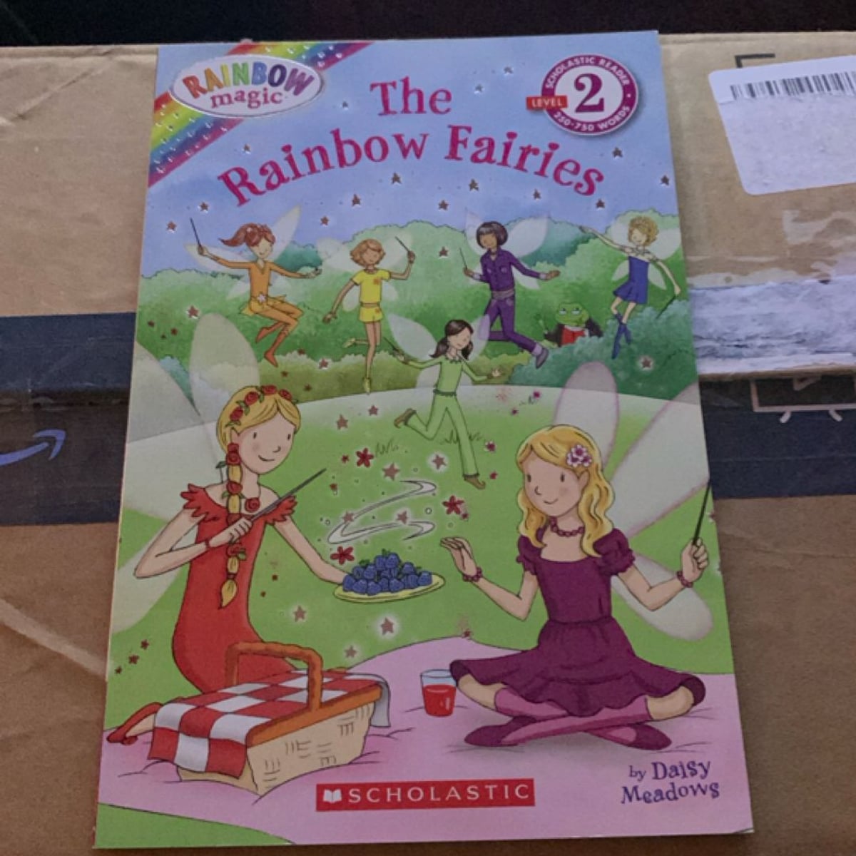 The Rainbow Fairies by Daisy Meadows