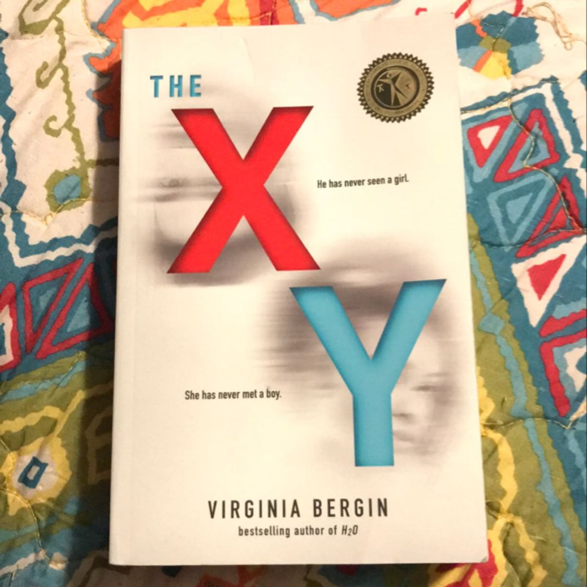 The XY by Virginia Bergin