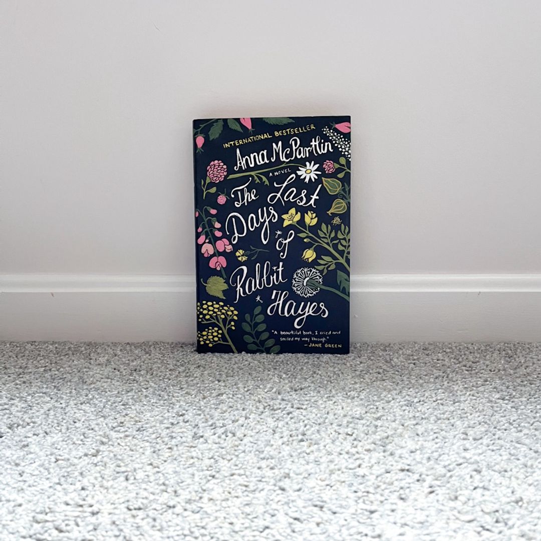 The Last Days of Rabbit Hayes by Anna McPartlin