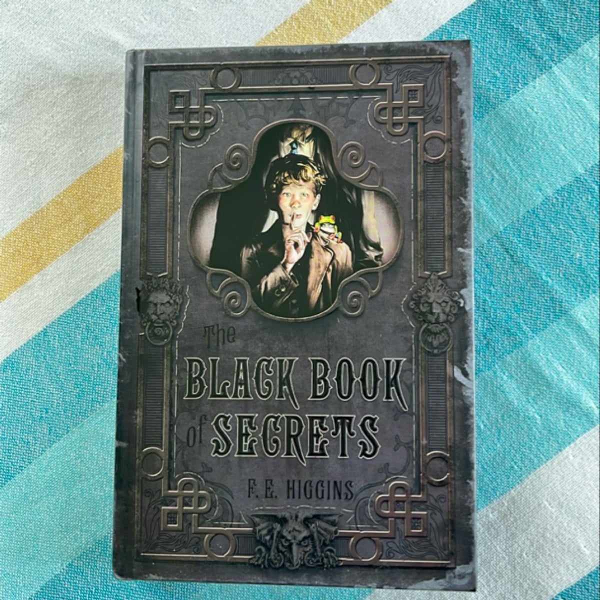 The Black Book of Secrets by F. E. Higgins
