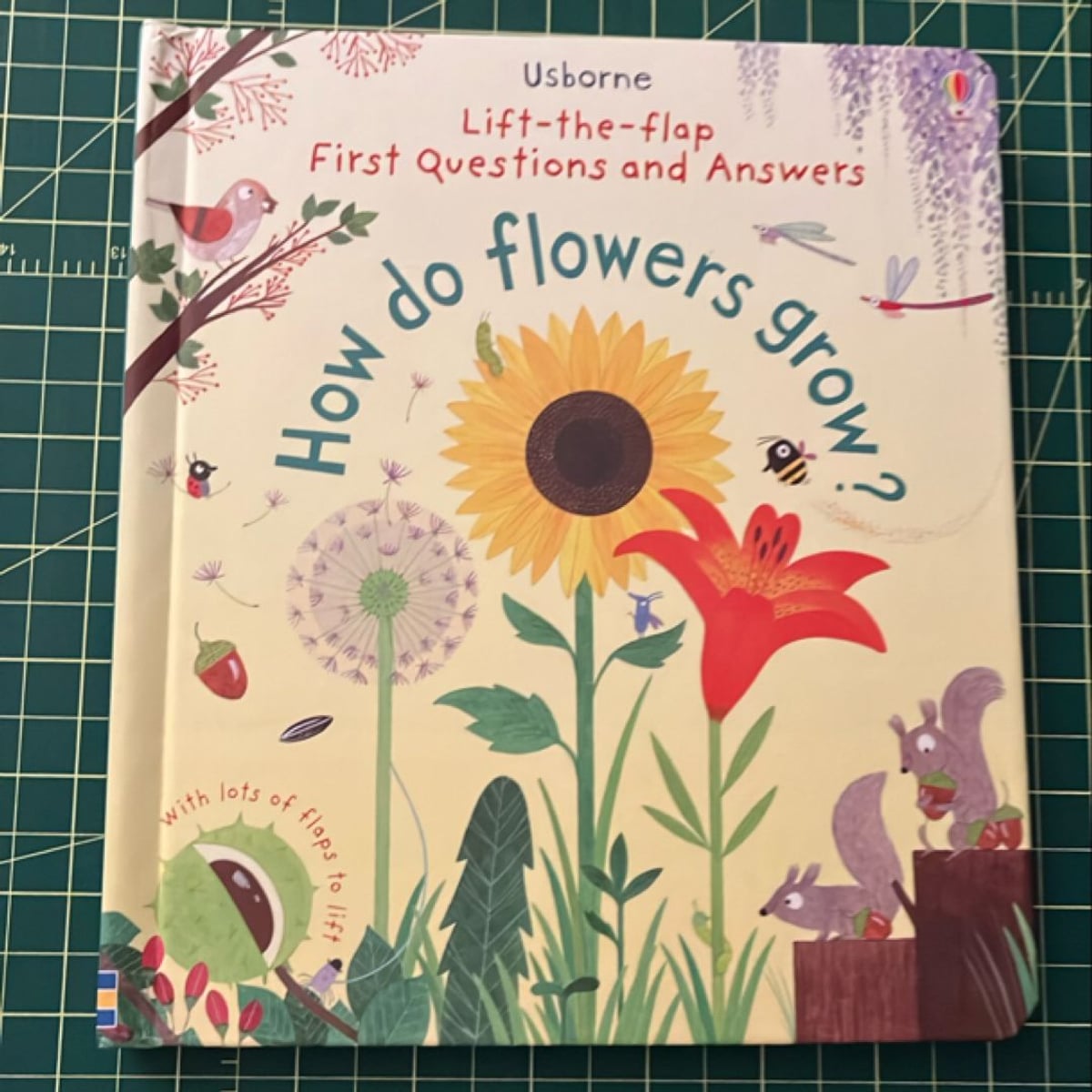 How Do Flowers Grow? by Katie Daynes