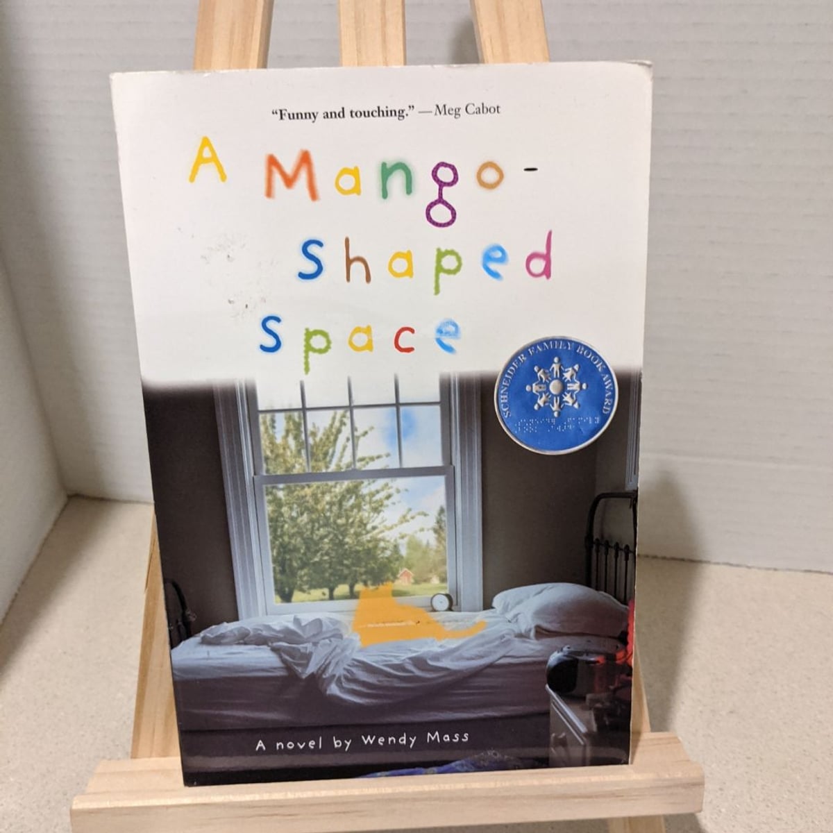 A Mango-Shaped Space by Wendy Mass