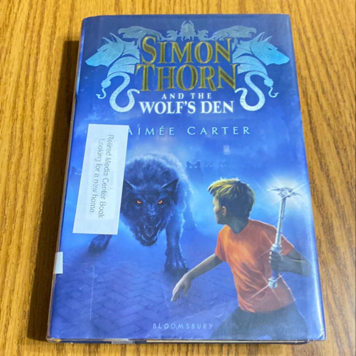 Simon Thorn and the Wolf's Den by Aimée Carter