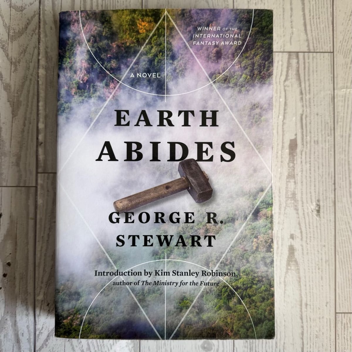 Earth Abides by George R. Stewart