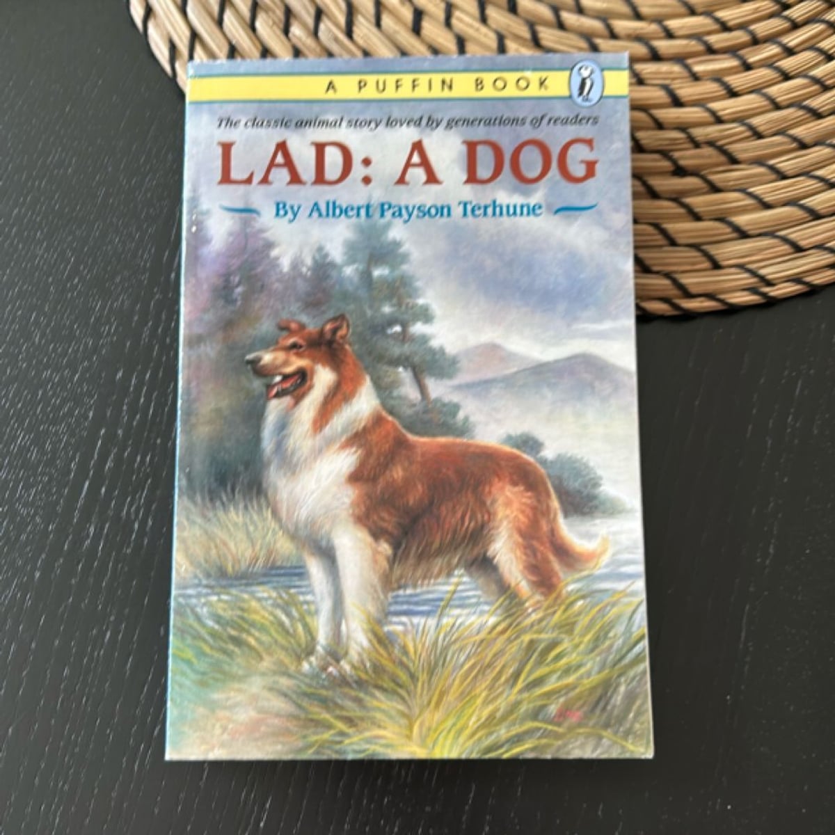 Lad by Albert Payson Terhune; Sam Savitt (Illustrator)