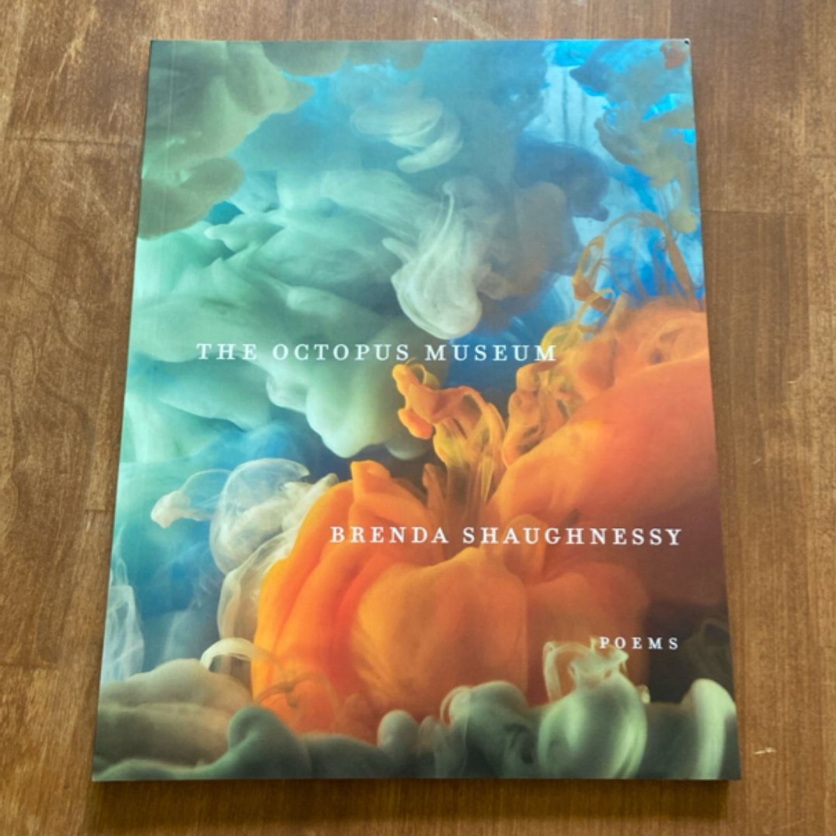 The Octopus Museum by Brenda Shaughnessy