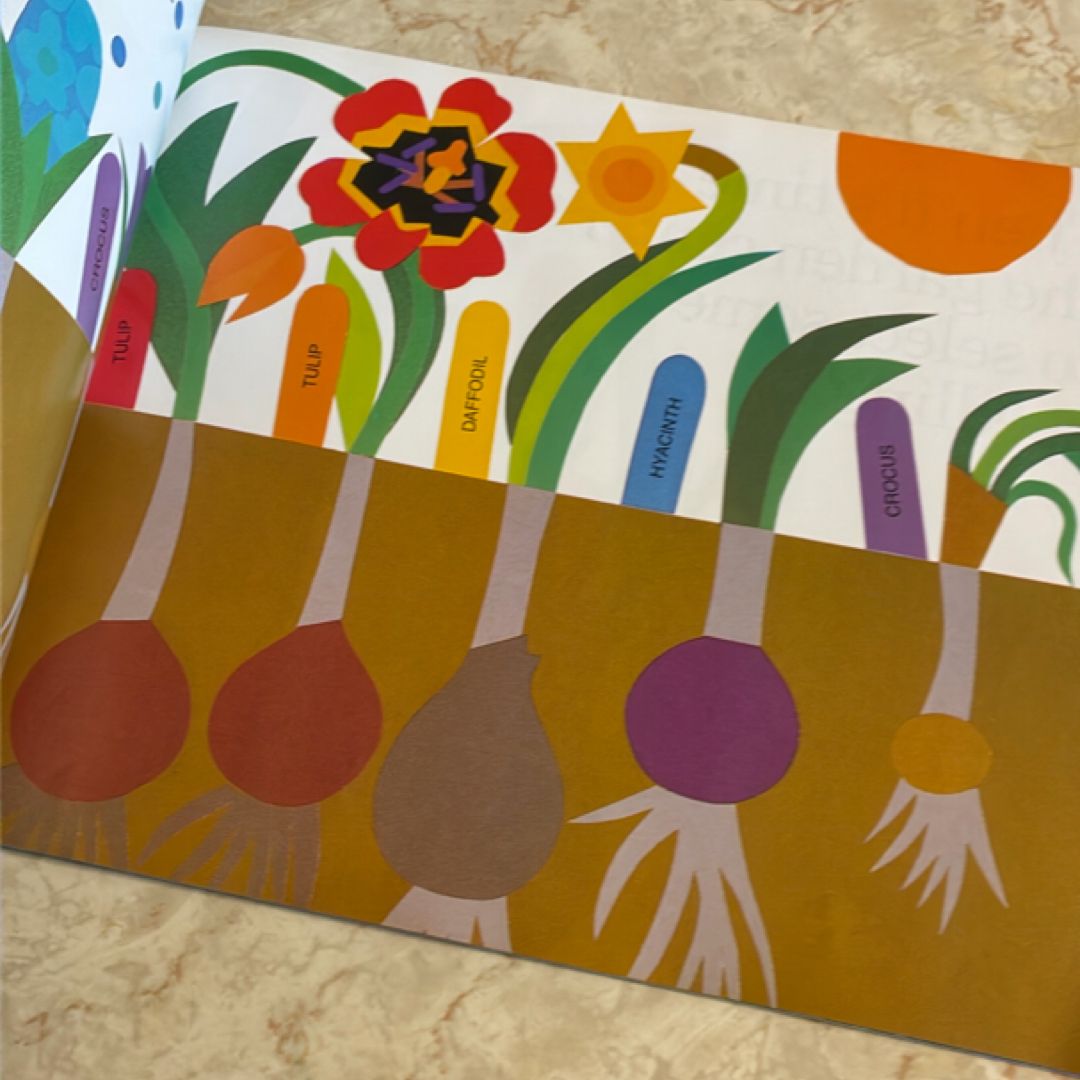 Planting a Rainbow by Lois Ehlert
