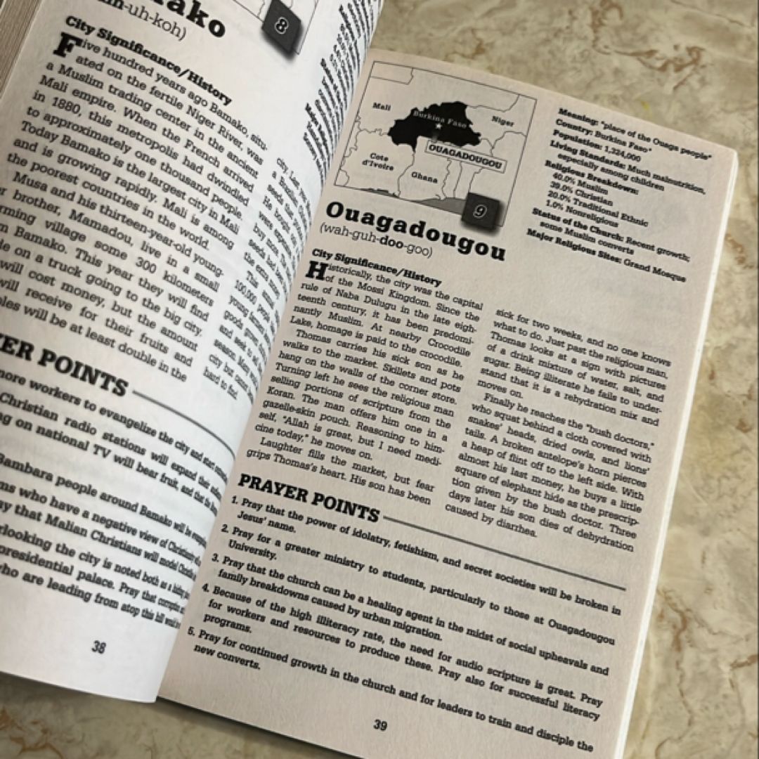 Praying Through the 100 Gateway Cities of the 10/40 Window by C. Peter ...