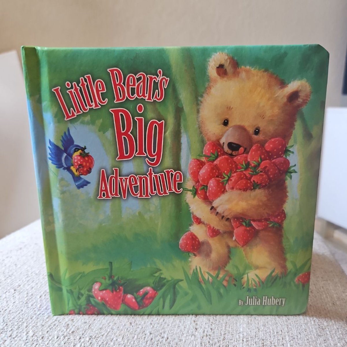 Little Bear's Big Adventure by Julia Hubery