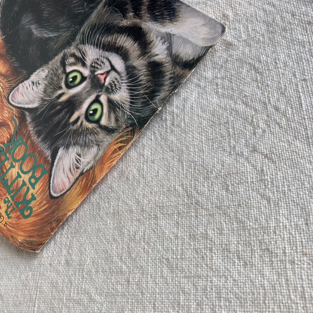 The Kitten Book (1986) by Jan Pfloog , Paperback | Pangobooks