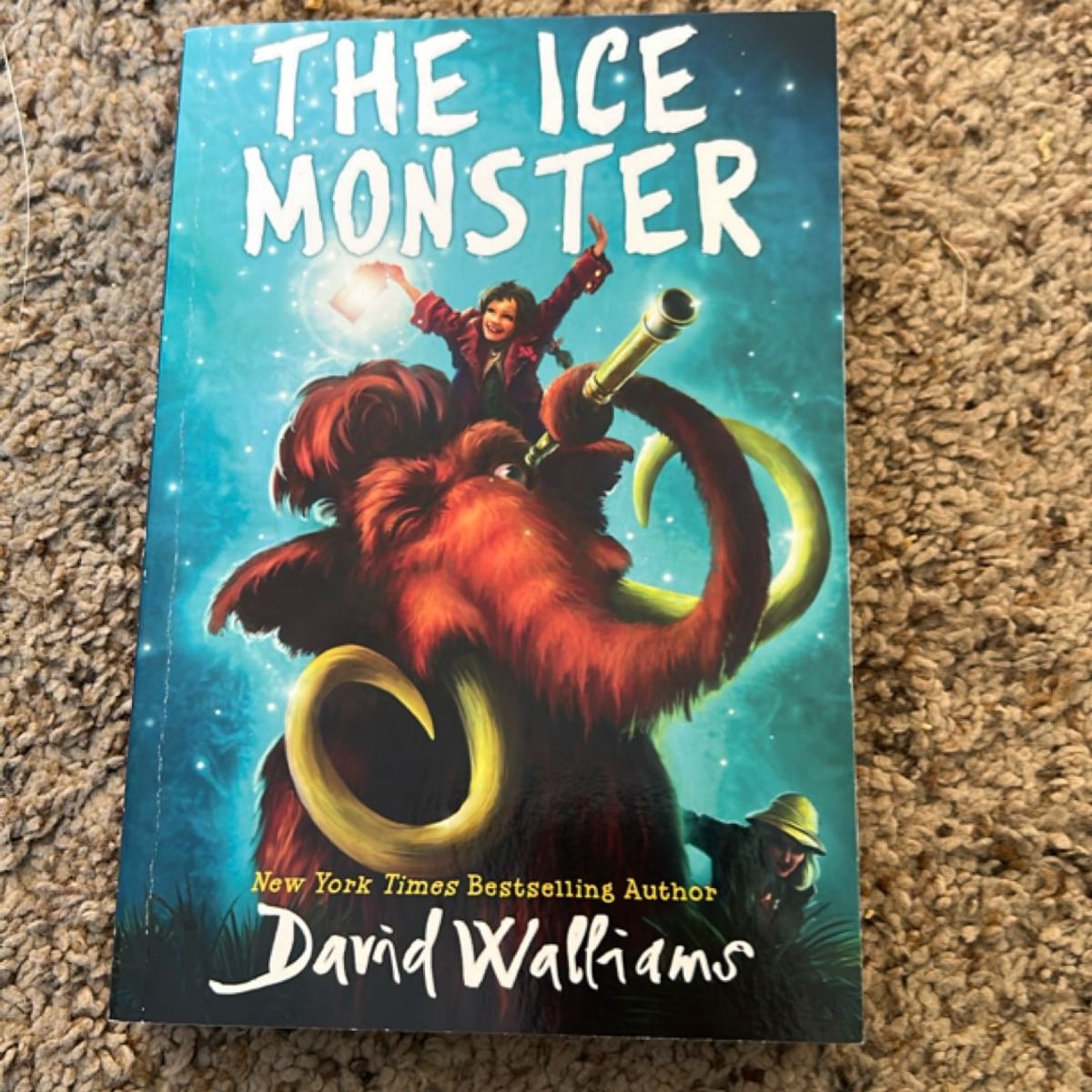 The Ice Monster by David Walliams