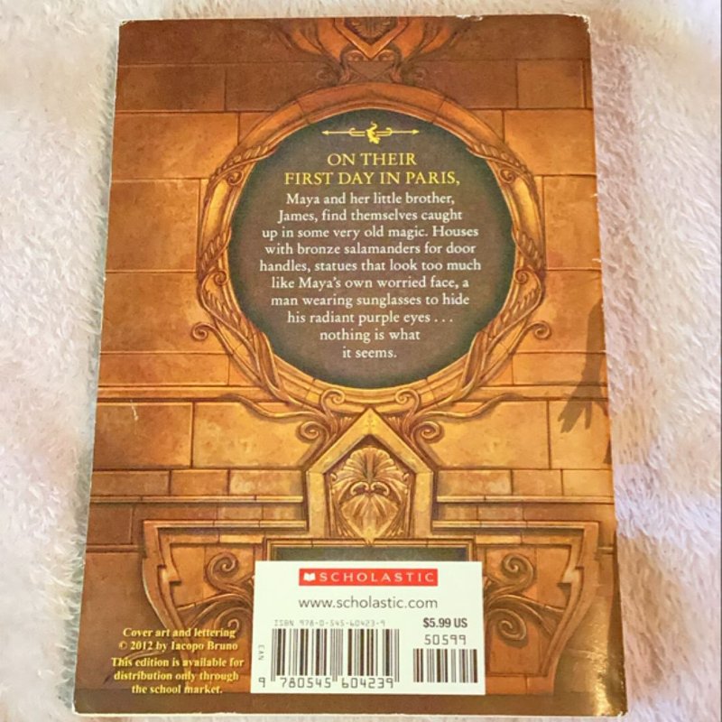 The Cabinet of Earths by Anne Nesbet