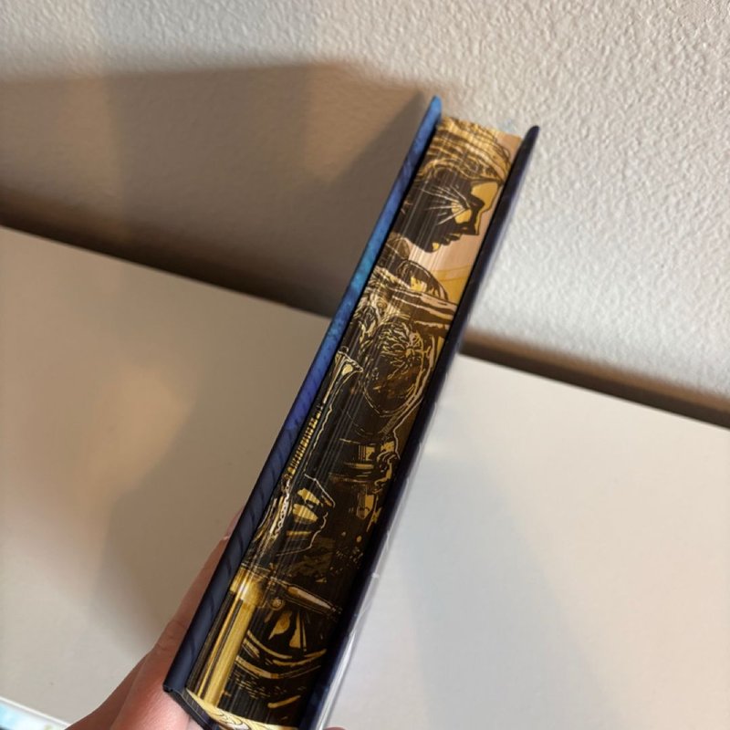 Heaven Breaker by Sara Wolf , Hardcover | Pangobooks