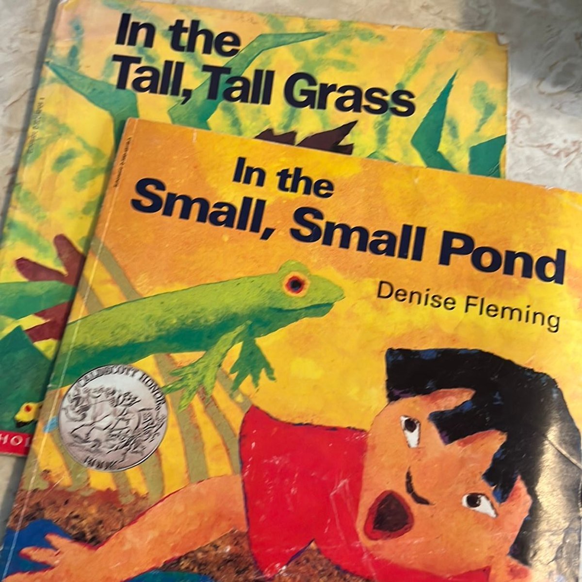 In the Small, Small Pond by Denise Fleming