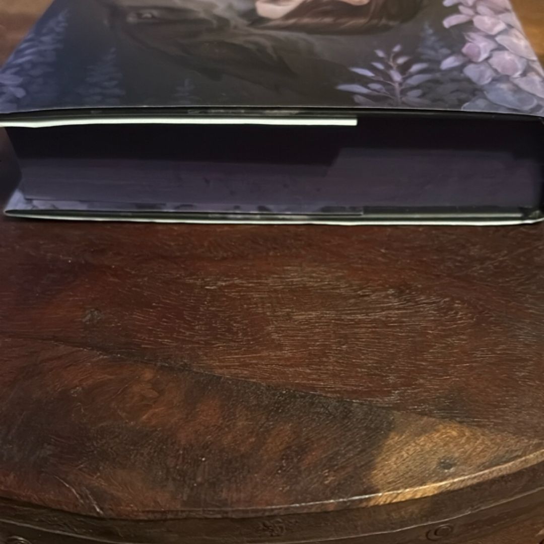 Bitten (Lilac Library Exclusive) by Jordan Stephanie Gray, Hardcover ...