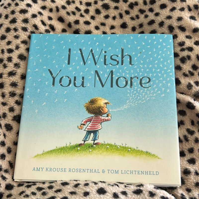 I Wish You More by Amy Krause Rosenthal and Tom Lichtenheld, Hardcover ...
