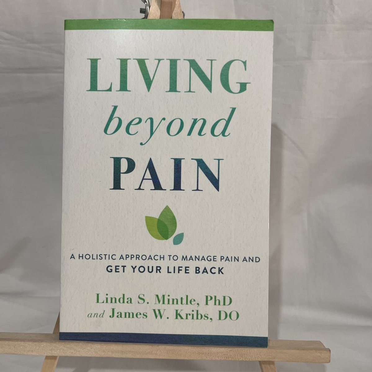 Living Beyond Pain by Linda S. Mintle, James W. Do Kribs