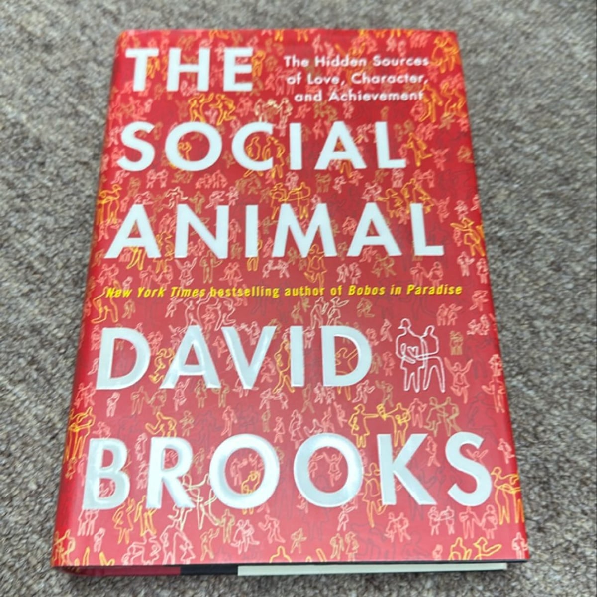 The Social Animal by David Brooks