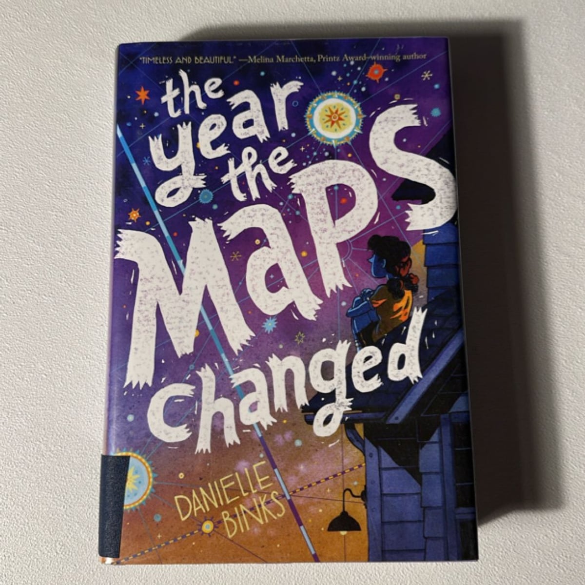The Year the Maps Changed by Danielle Binks