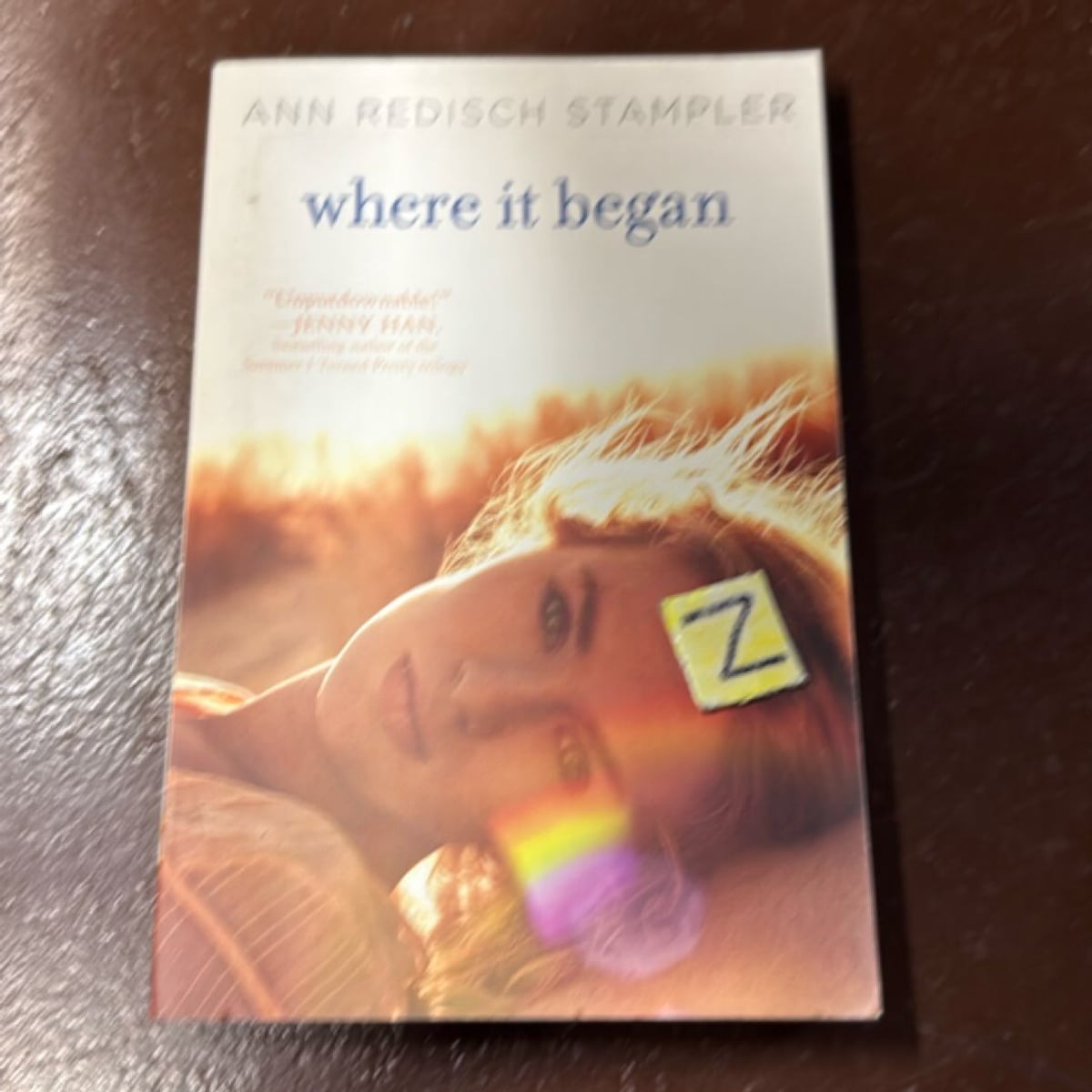 Where It Began by Ann Redisch Stampler