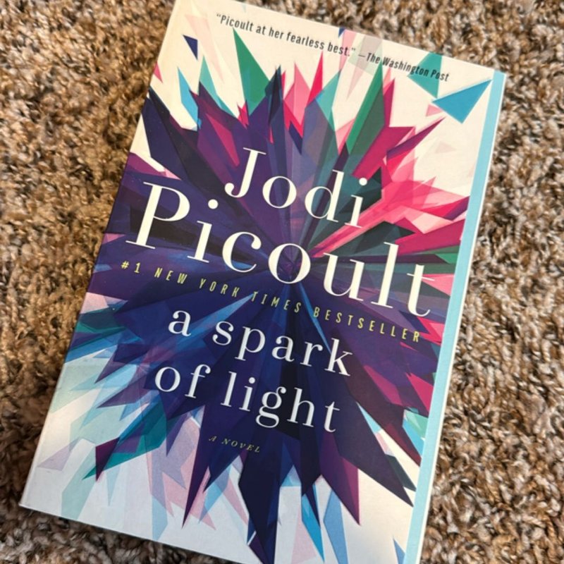 A Spark of Light by Jodi Picoult, Paperback | Pangobooks