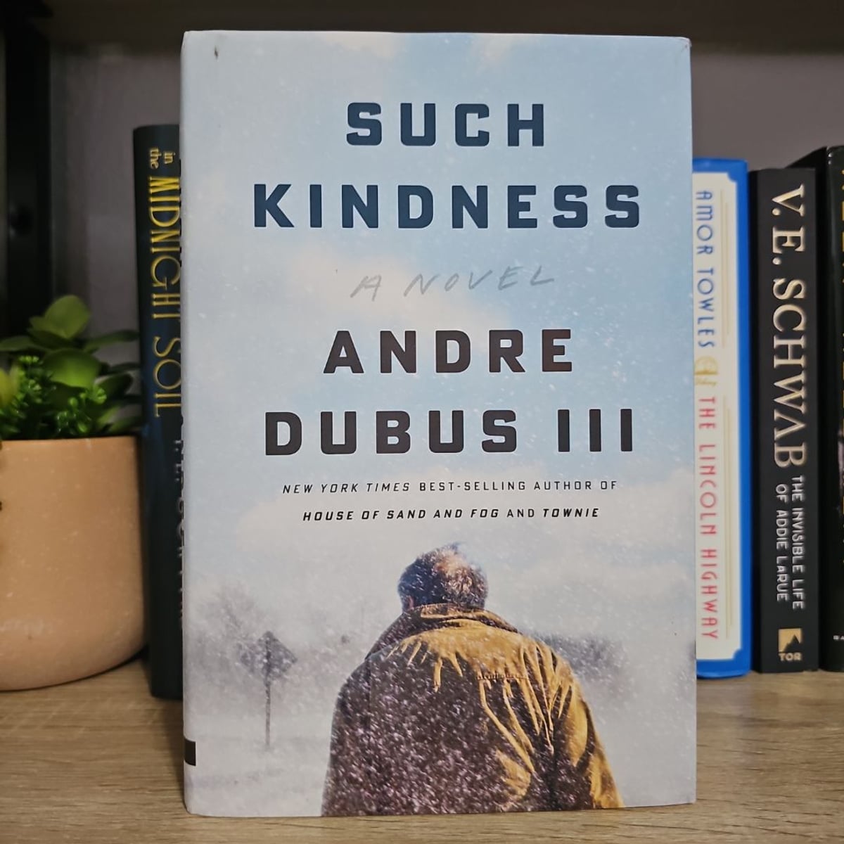 Such Kindness by Andre Dubus