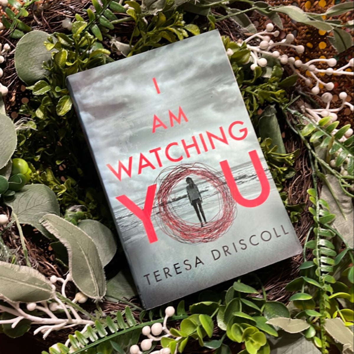 I Am Watching You by Teresa Driscoll