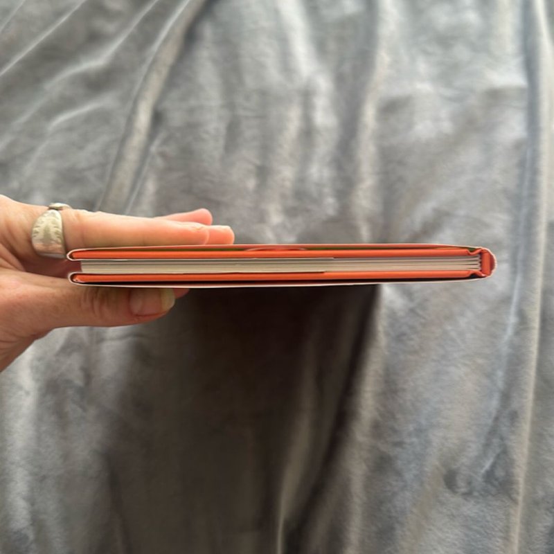 Judy Moody and Friends: Stink Moody in Master of Disaster by Megan McDonald