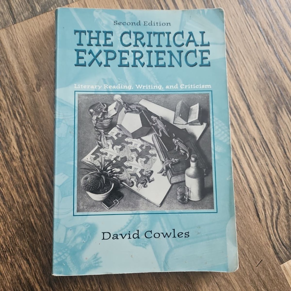 The Critical Experience: Literacy Reading, Writing, and Criticism by ...