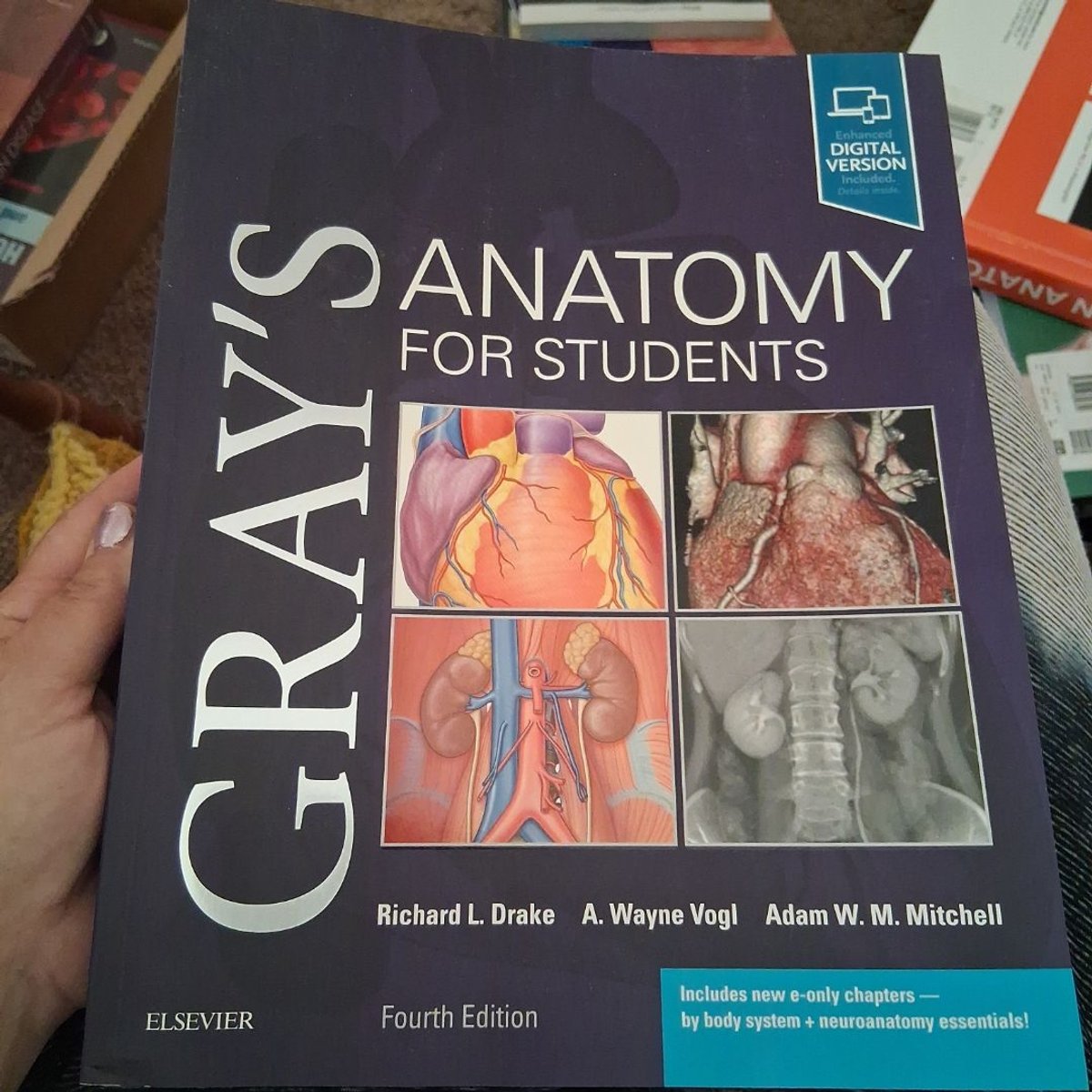 Gray's Anatomy for Students by Richard L. Drake, Wayne Vogl, Adam W. M ...