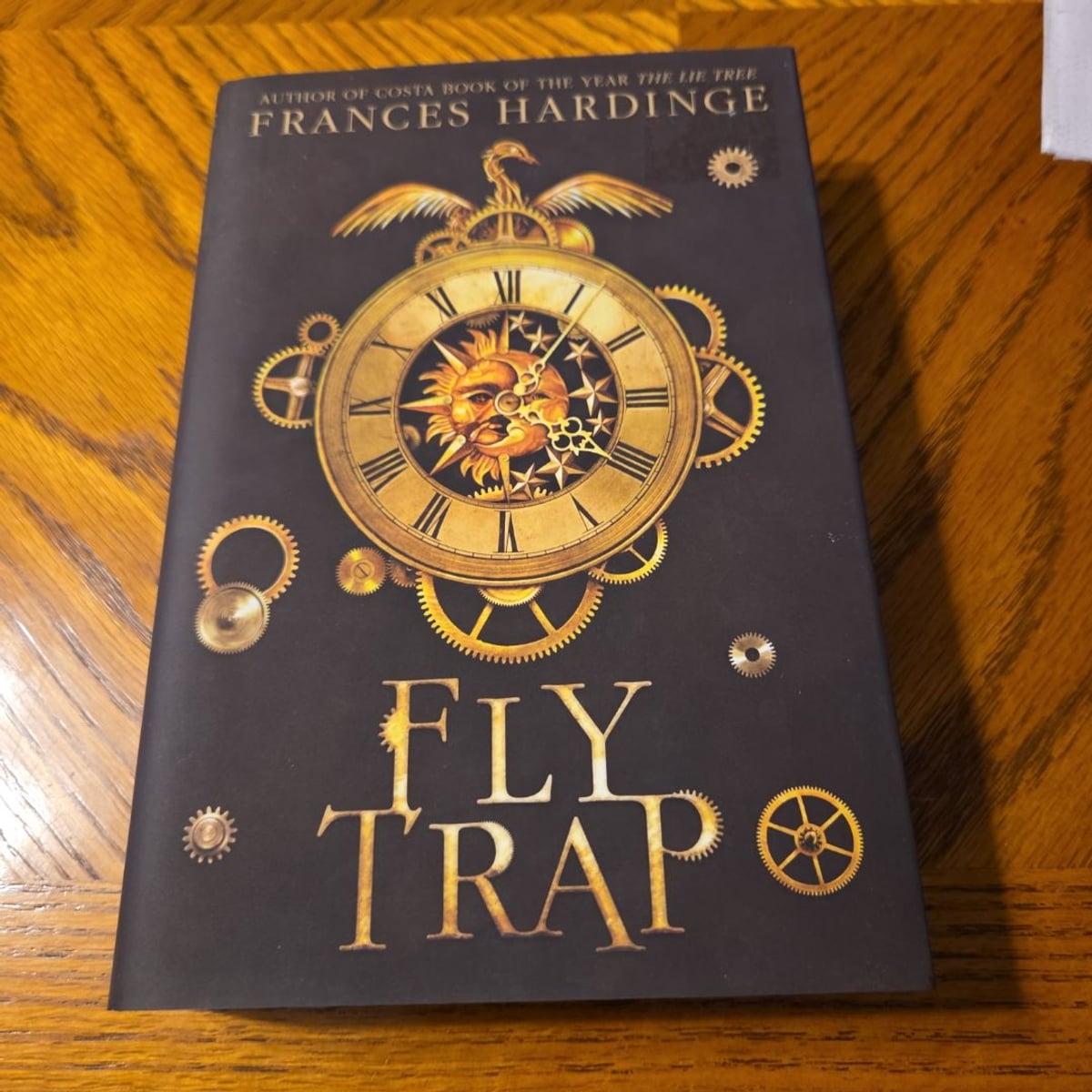 Fly Trap by Frances Hardinge