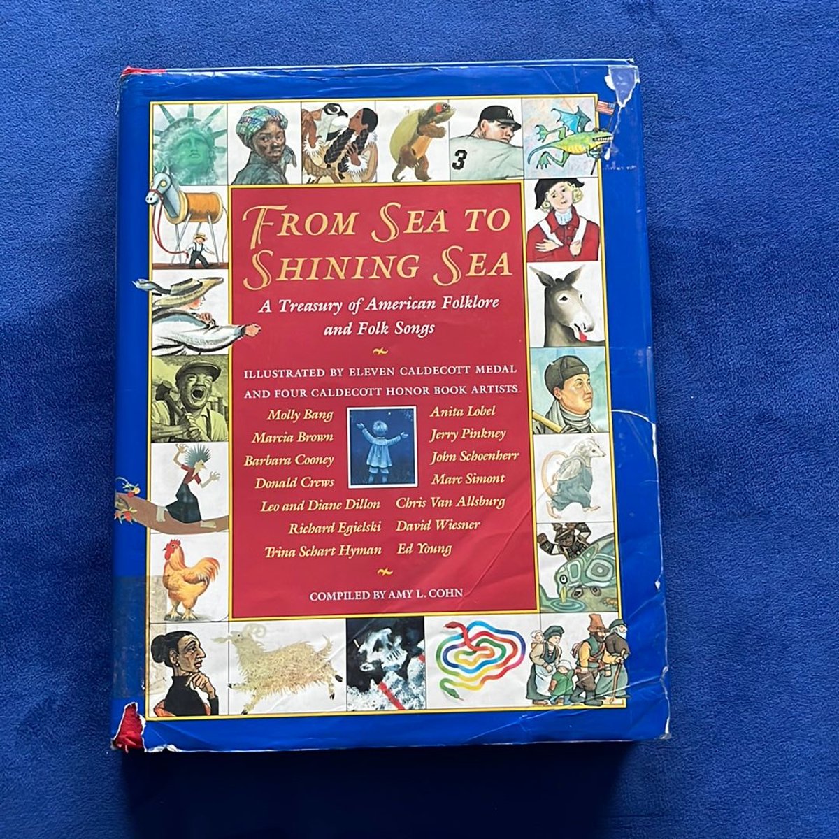 From Sea to Shining Sea by Amy Cohn