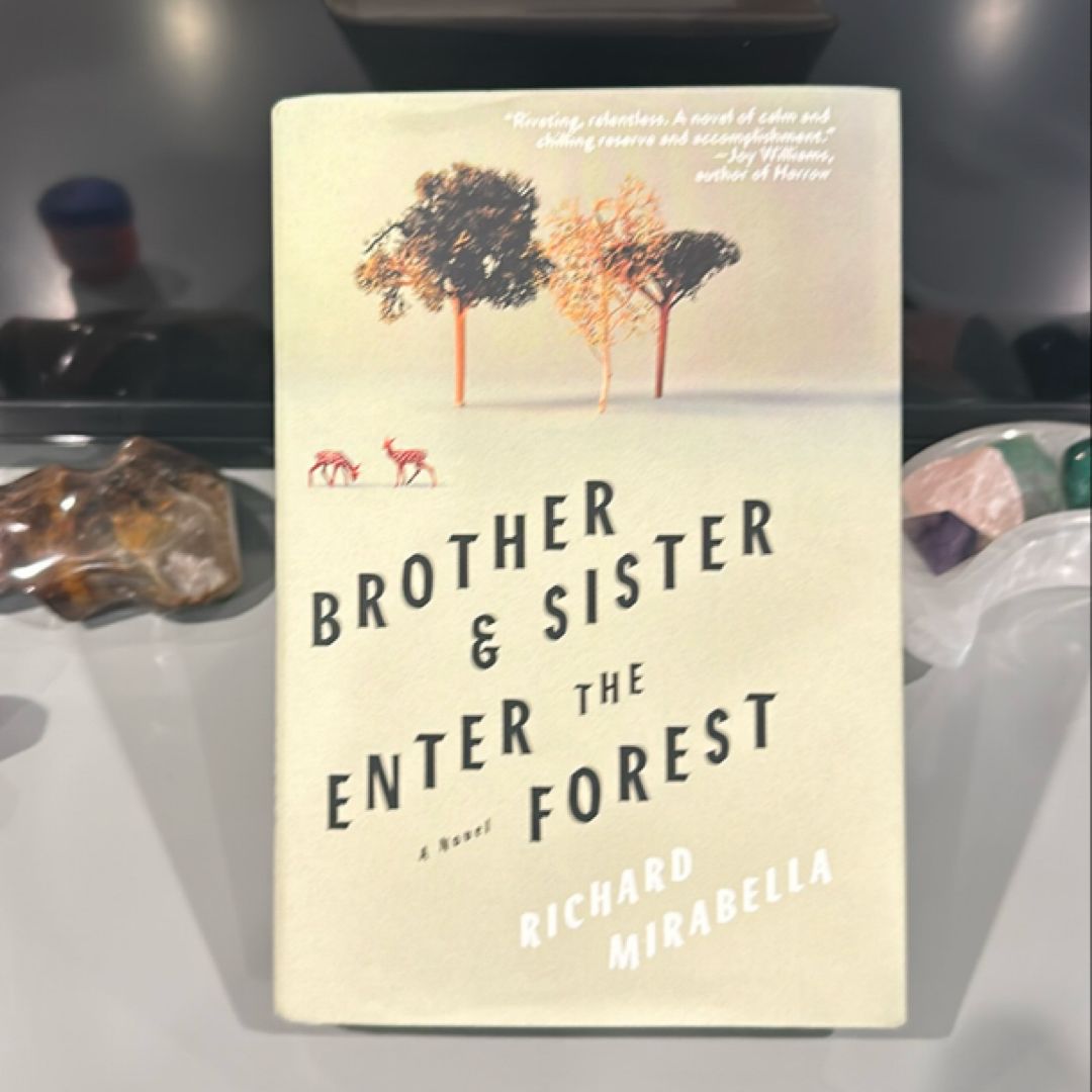 Brother and Sister Enter the Forest by Richard Mirabella