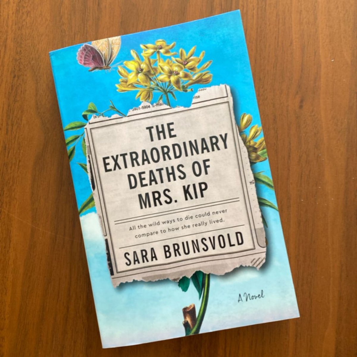The Extraordinary Deaths of Mrs. Kip by Sara Brunsvold
